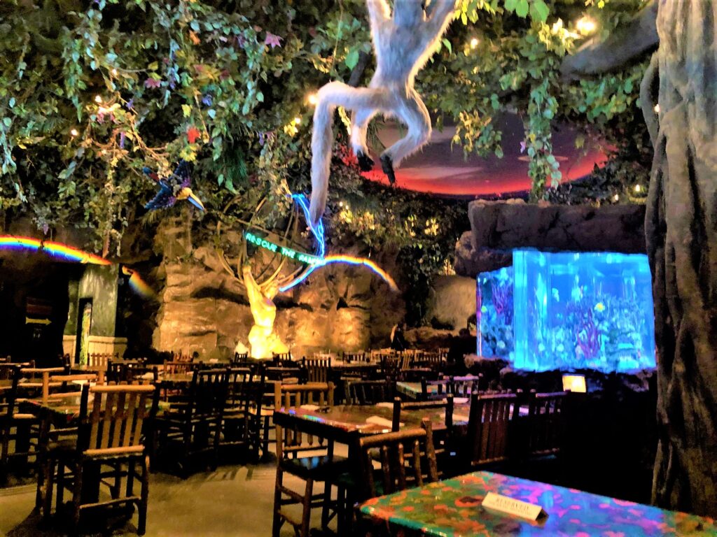 Dining at Rainforest Cafe with Kids - 5 Suitcases