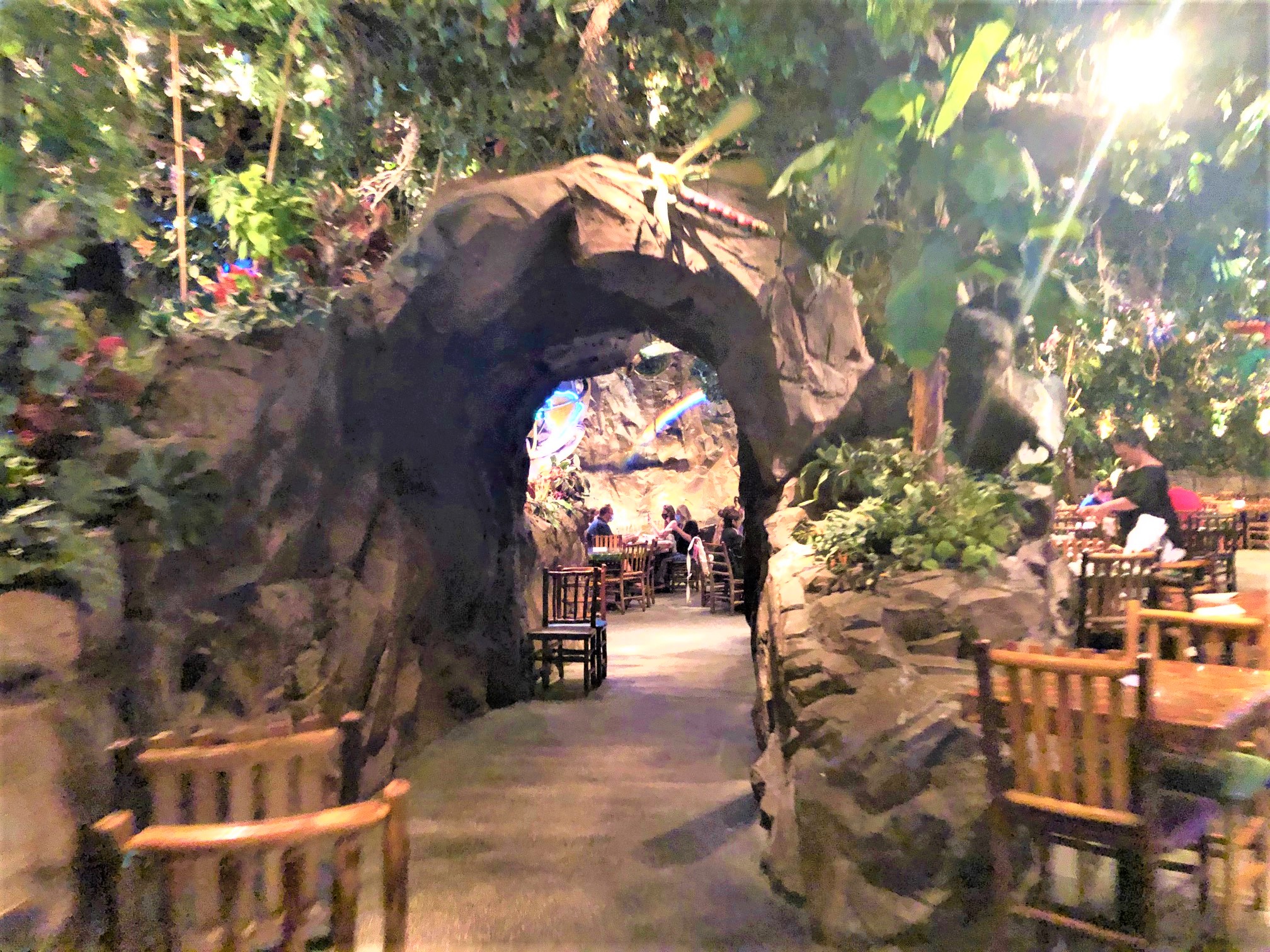 Dining at Rainforest Cafe with Kids - 5 Suitcases