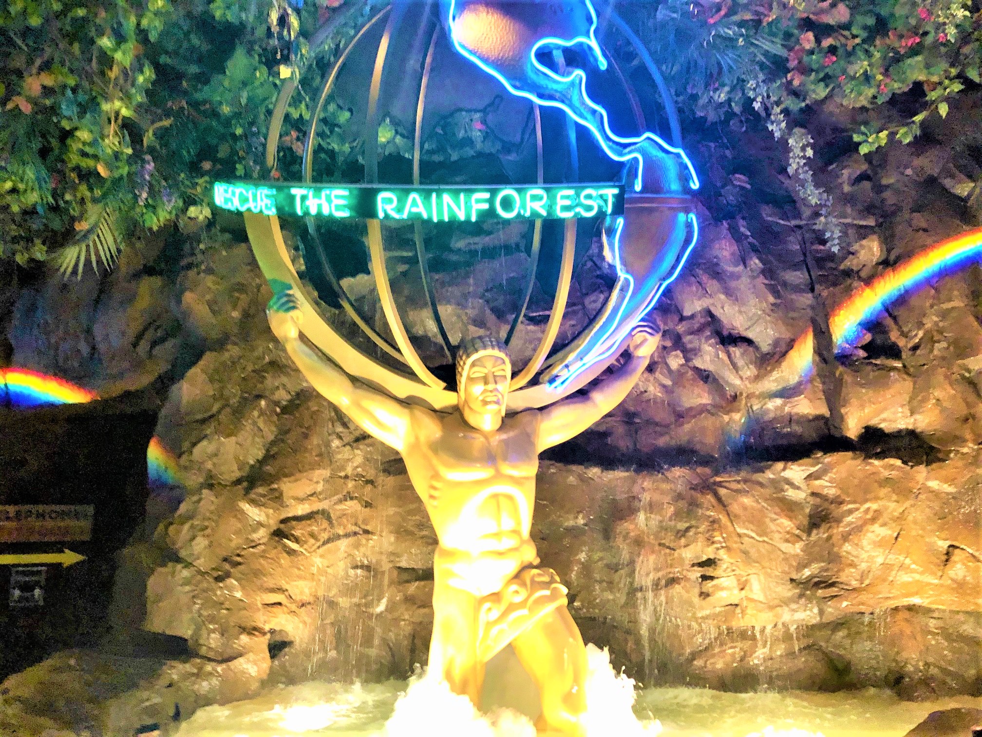 Dining at Rainforest Cafe with Kids - 5 Suitcases