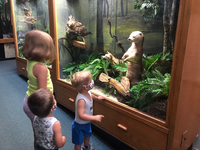 Getting in Touch with Nature at Tree Hill Nature Center - 5 Suitcases