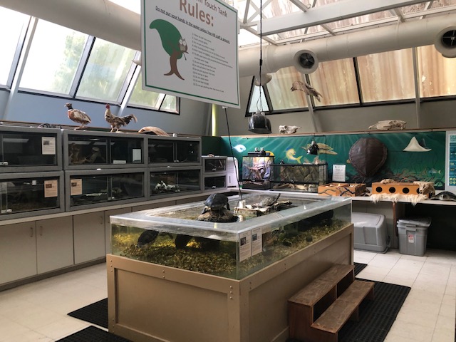 Getting in Touch with Nature at Tree Hill Nature Center - 5 Suitcases