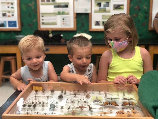 Getting in Touch with Nature at Tree Hill Nature Center - 5 Suitcases