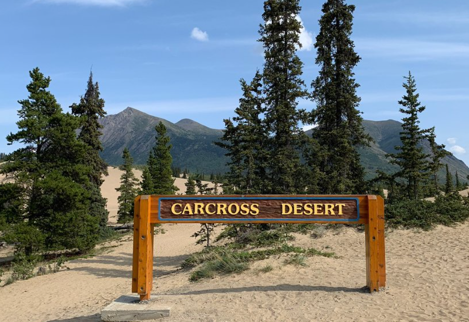 Stretching Our Legs at the Carcross Desert in the Yukon - 5 Suitcases
